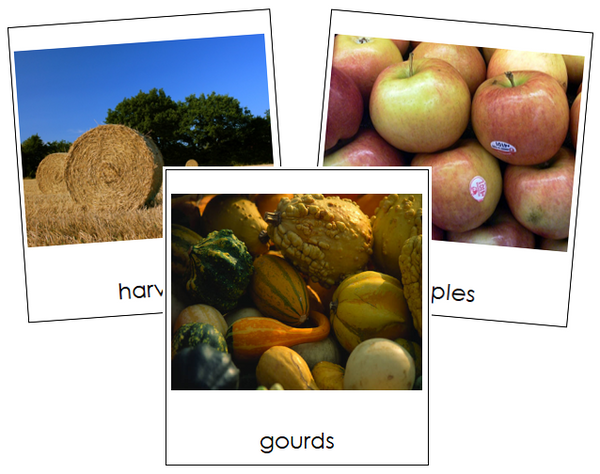 Autumn Season - Montessori Print Shop