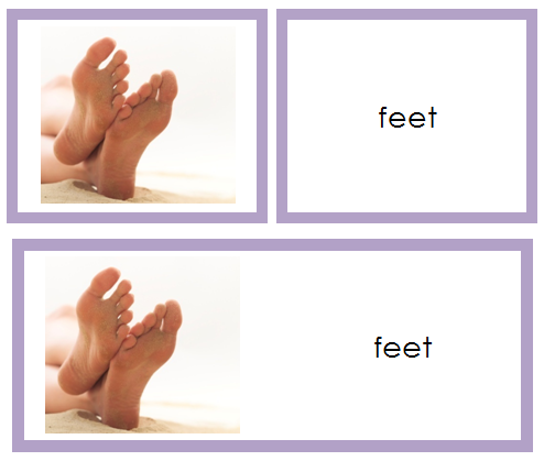 Words & Picture Cards Bundle - Montessori Print Shop