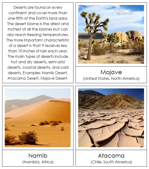 Biomes of the World - Montessori Print Shop