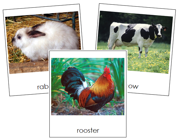Farm Animals - Montessori Print Shop