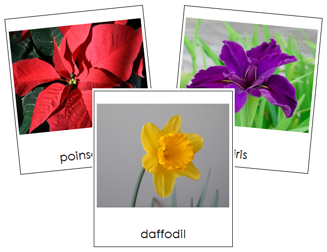 Sales on Printable Montessori Materials - Montessori Print Shop