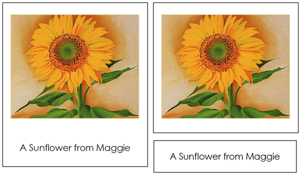 Art Cards Bundle - Montessori Print Shop