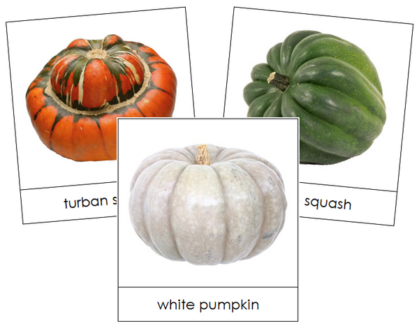 Pumpkins & Squash Picture Cards - Montessori Print Shop
