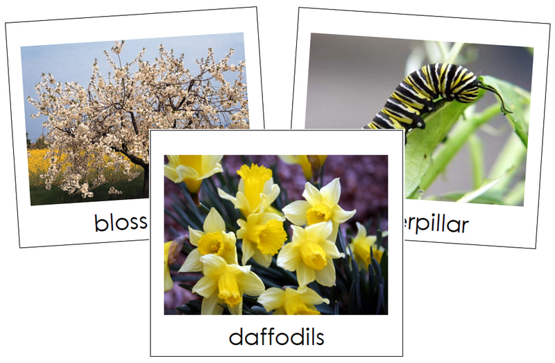 Toddler Spring Season Cards - Montessori Print Shop