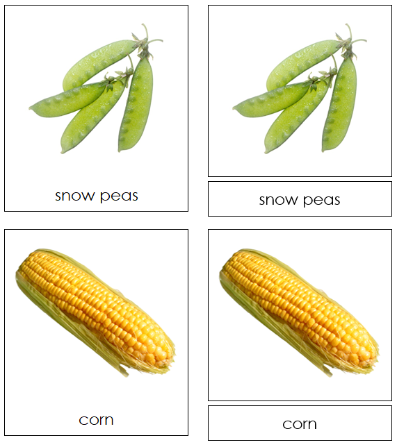 Vegetables - Montessori Print Shop