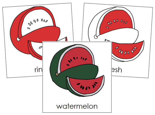 Parts of a Watermelon Nomenclature Cards (red) - Montessori Print Shop ...